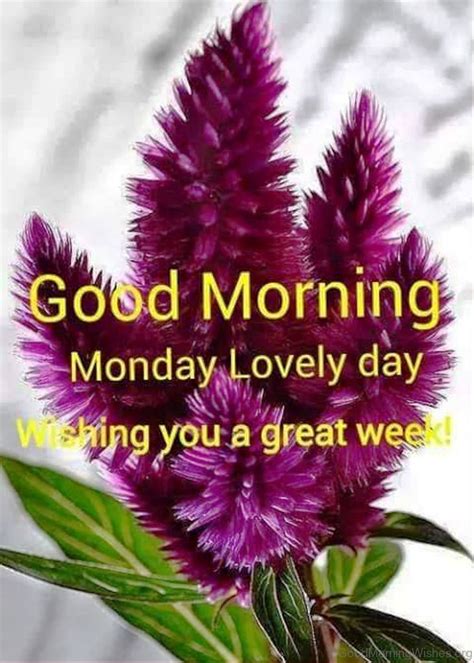 Cute Good Morning Monday Images
