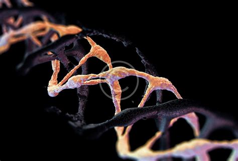 Genetic Data Retropsoas Technologies