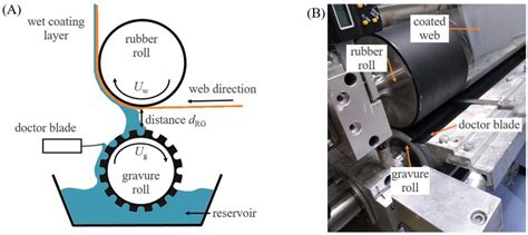 A Schematic Drawing Of Reverse Gravure Coating Process With Download Scientific Diagram