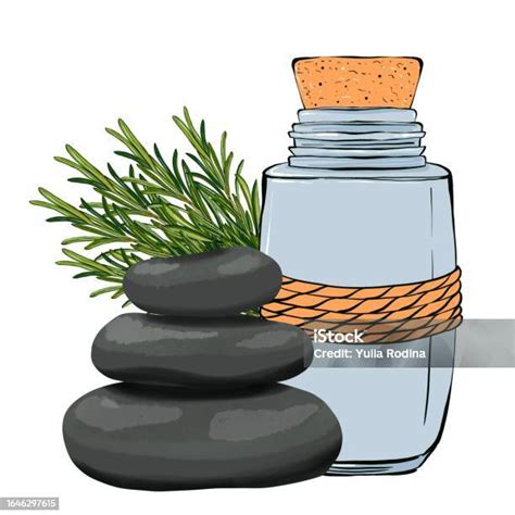 아로마 테라피 돌 에센셜 오일 병 및 향기로운 허브로 구성 손으로 그린 그림 격리 나비매듭에 대한 스톡 벡터 아트 및 기타 이미지 나비매듭 다발 돌 바위 Istock