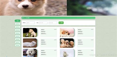 计算机毕业设计djangovue宠物咖啡店管理系统【开题论文程序】基于django的宠物系统设计与实现源码 Csdn博客