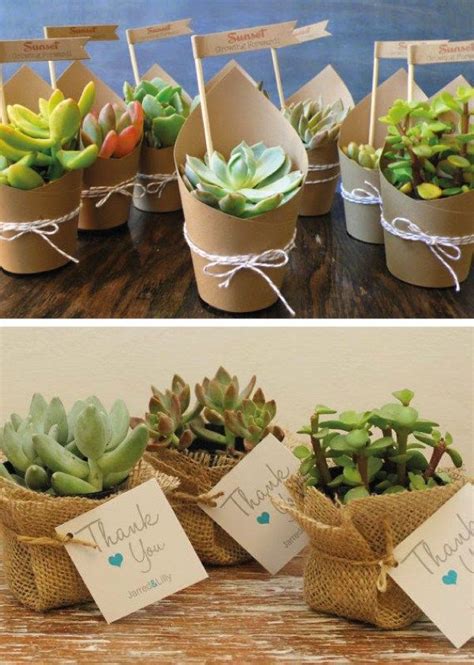 Plantas Para Regalar En Bodas