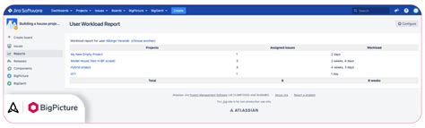 Jira Portfolio Management Is That Even Possible Bigpicture