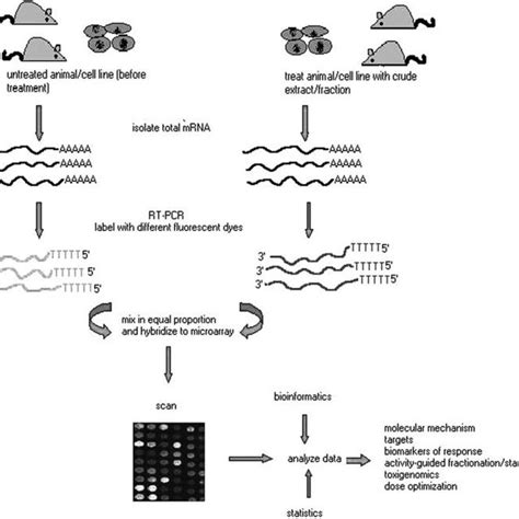 DNA Microarray Applications In Natural Product Drug Discovery And Download Scientific Diagram