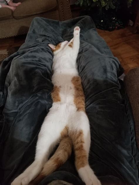 Long Boi Rairsoft Long Boi Rairsoft