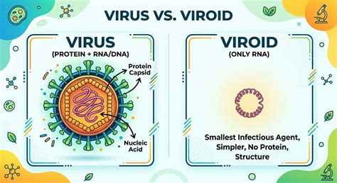 Viruses And Viroids Class 11 Biology Neet Notes And Guide Neetq