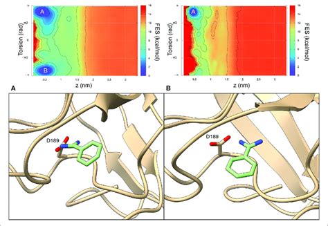 The 2d Benzamidine Trypsin Binding Free Energy Surfaces Obtained Download Scientific Diagram