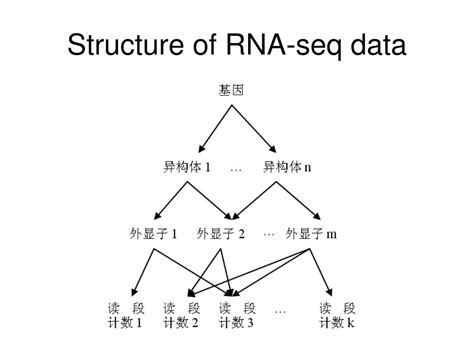 Ppt Measuring Isoform Expression From Rna Seq Data Based On Lda Powerpoint Presentation Id