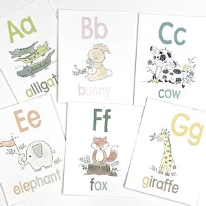Watercolor Abc 123 Flashcards Animal Illustrations Etsy