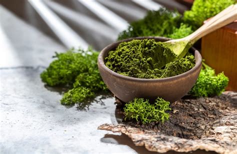 Chlorophyll Supplements More Than Just A Green Color Benefits Types And A Complete Guide