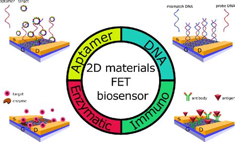 Figure 1 From Advances In 2d Based Field Effect Transistors As Biosensing Platforms From