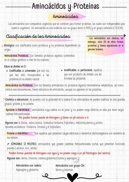 Aminoácidos Y Proteínas Shyleidy Rangel Udocz