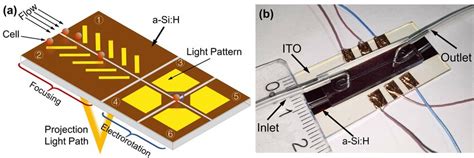 The Design Of Microfluidic Chip A The Schematic Of The Microfluidic Download Scientific
