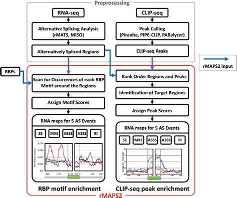 Figure 1 From Rmaps2 An Update Of The Rna Map Analysis And Plotting