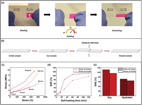 Dynamic And Degradable Imine‐based Networks For 3d‐printing Of Soft