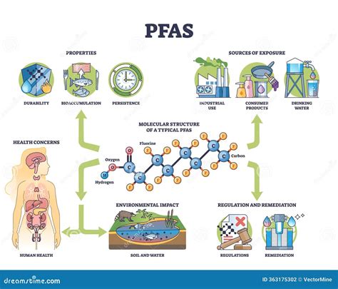 Pfas Diagram Outlines Exposure Sources Health Concerns And Environmental Impact Stock