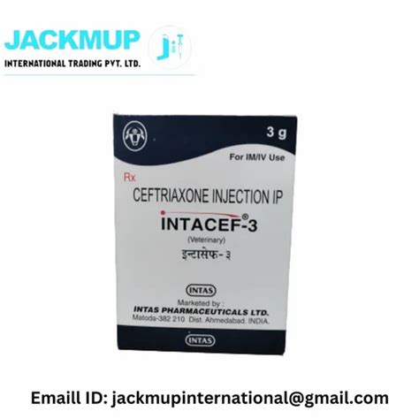 Intacef 3 Veterinary Injection At ₹ 145 Veterinary Injections In Nagpur Id 27280688048