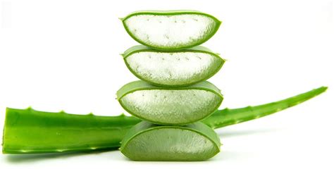 How To Make Your Own Homemade Sex Toys The Porn Dudes Definitive