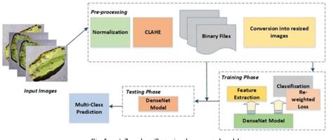 figure 1 from potato disease detection using deep learning semantic