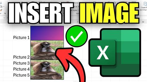 How To Add Image To Excel Cell Full Guide Youtube