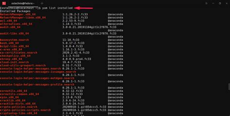 How To List Installed Packages In Linux OSTechNix