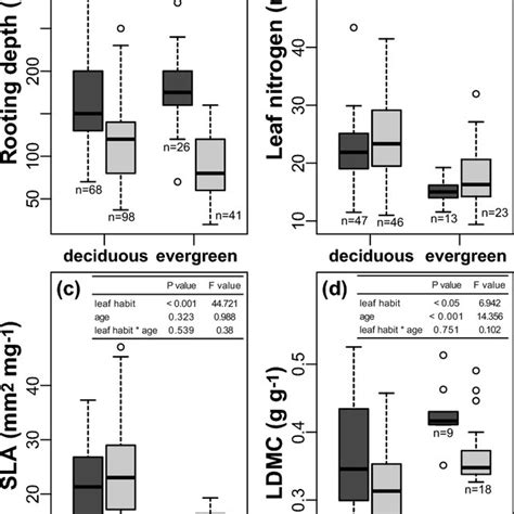 The Tree Age And Maximum Rooting Depth Across Species Tested In Download Scientific Diagram