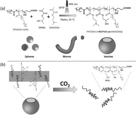 Facile Preparation Of Co2‐responsive Polymer Nano‐objects Via Aqueous Photoinitiated
