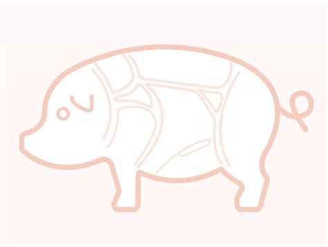 돼지고기 부위별 명칭과 특징 살펴보기 에누리 쇼핑지식 구매가이드
