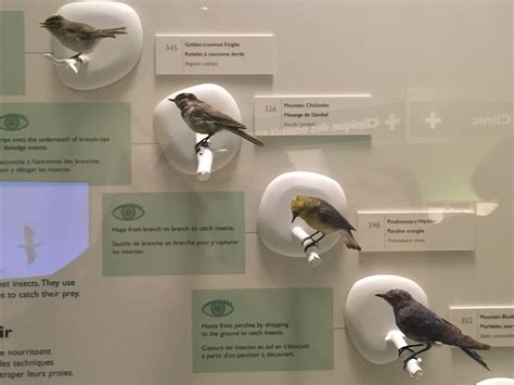 Pin By Mithun P On Wildlife Interpretation Museum Exhibition Design