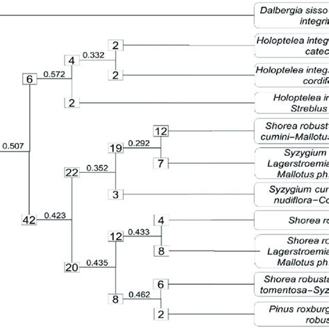 Canopy Height Map Derived Using Gedi Lidar Based On Random Forest Rf Download Scientific