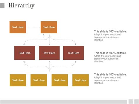Hierarchy Ppt PowerPoint Presentation Designs Download
