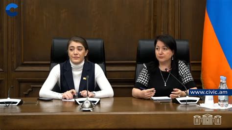 Միջազգային տեսանելի մեխանիզմը իրենից ենթադրում է գործընթացների թափանցիկություն Լիլիթ Մինասյան