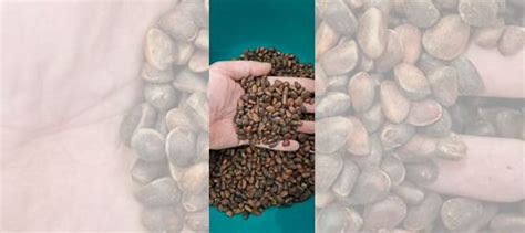 Кедровый орех купить в Красноярске Товары для дома и дачи Авито