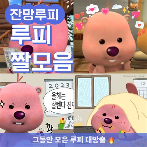 루피 짤 모음 대량 방출 눕는루피 직장인루피 학생루피 가난루피 외 네이버 블로그