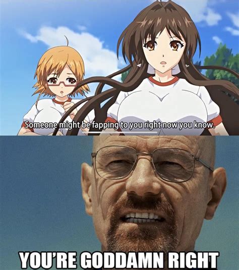 Fap Fap Fap Memes