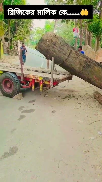 ৯০ দশকের সময় কিভাবে গাছ কেটে ফার্নিচার তৈরি করা হতো😎😎 Trending Youtube