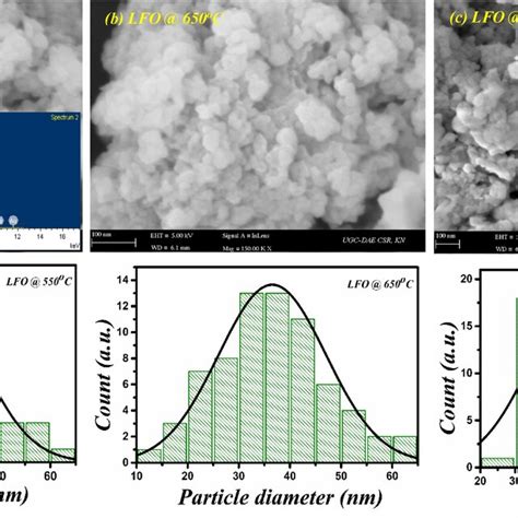 Scanning Electron Microscopy Image Edx Pattern And Particle Size