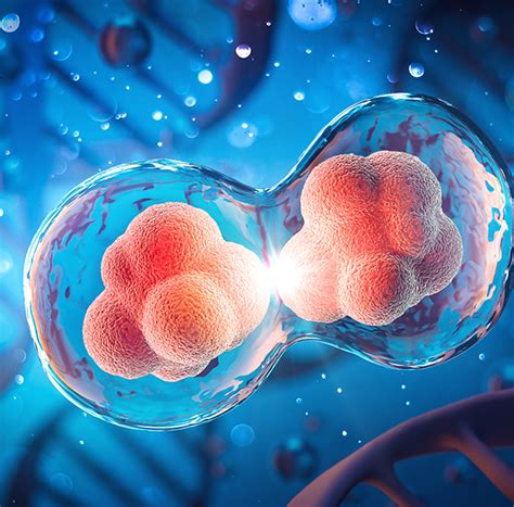 연세아이미스템의원