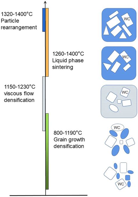 Diagram Of Densification Stage And Microstructure Evolution Of Wc Co