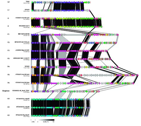 Comparative Genome Alignment Of Sub Clusters Comprising Of Temperate