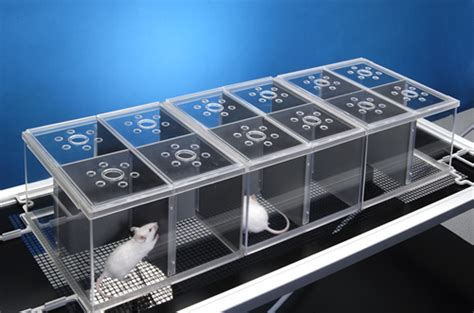 电子测痛仪 Von Frey测痛仪，触觉测量仪 报价 价格 性能参数 图 电子von Frey测痛仪，大小鼠电子测痛仪，小鼠von Frey 生物器材网