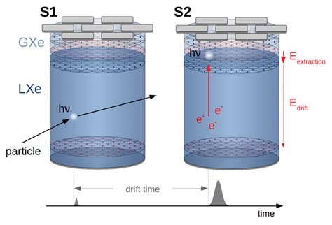 2 Schematic Illustration Of The Detection Principle In A Dual Phase Download Scientific