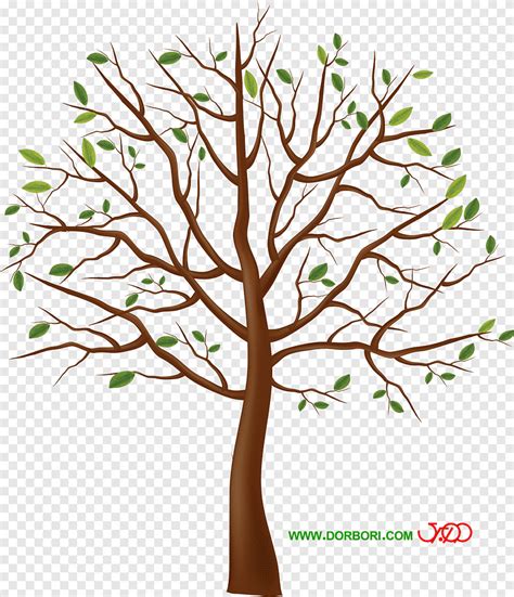 Tree Walnut Image File Formats Leaf Png PNGEgg