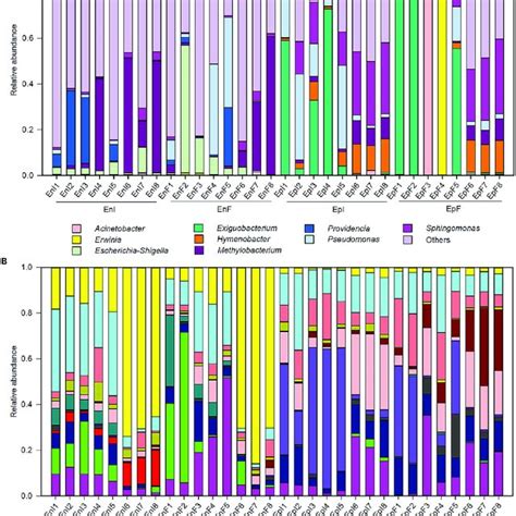 Taxonomic Composition Of Phyllosphere Microbial Community At The Genus Download Scientific