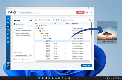 How To Access IDrive Files From Desktop App Step By Step