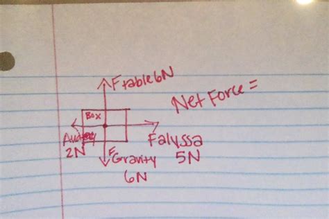 Physics Quiz 5 Net Force Inertia Diagram Quizlet