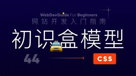 网站开发入门指南44 认识下盒模型的基础逻辑 ｜ Html Css 零基础入门教程 Youtube