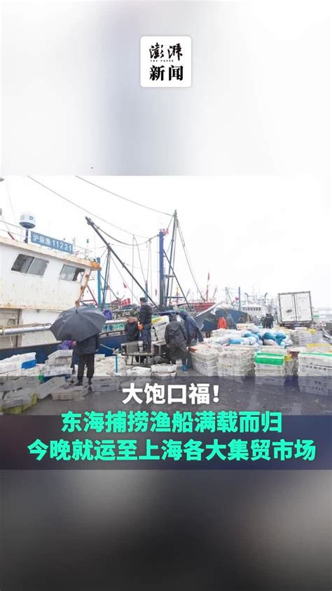 大饱口福东海捕捞渔船满载而归今晚运至上海各大集贸市场 凤凰网视频 凤凰网