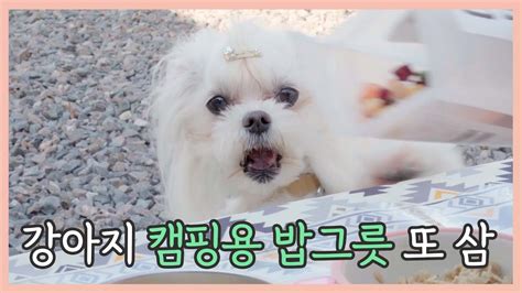 강아지도 캠핑용 밥그릇이 필요합니다 더아이언 캠핑용품 강아지 밥그릇 신상 고카프 Youtube