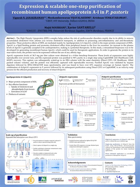 Pdf Expression And Scalable One Step Purification Of Recombinant Human Apolipoprotein A I In